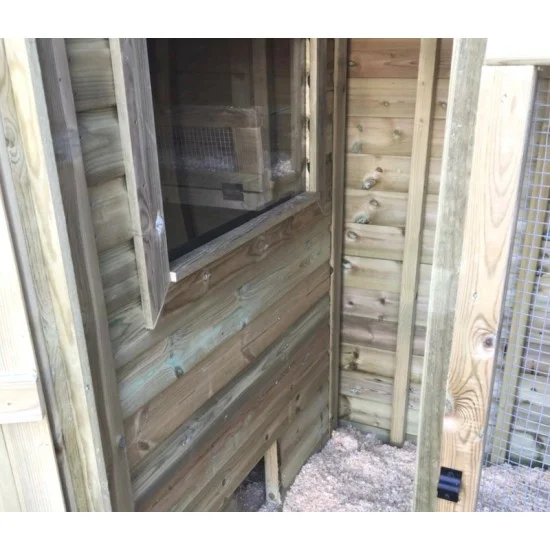 Cavy Guinea Pig Shed